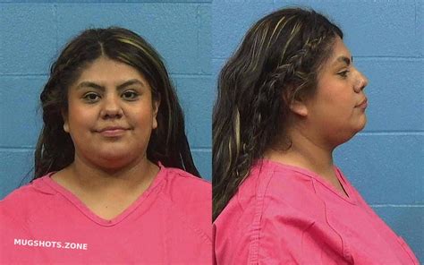 Bahena Mayra Real 02 21 2023 Williamson County Mugshots Zone