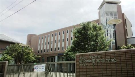 Japan Boy Sues High School After Expulsion Due To Sex Tokyoreporter
