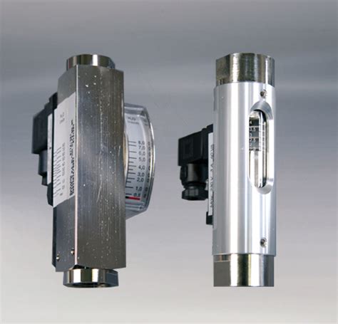 Variable Area Flow Switch For Liquids In Line Ritm Industry