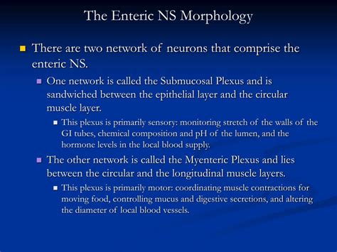 Ppt Understanding The Autonomic Nervous System Sympathetic And
