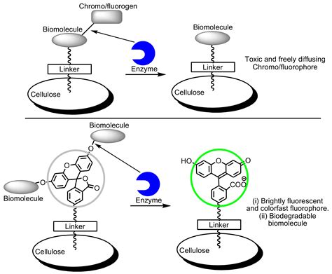 Recent Advances In Cellulose Based Biosensors For Medical Diagnosis
