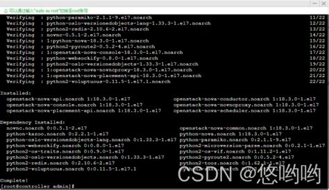 【云计算】实验5：nova配置控制节点修改 Nova 配置文件使之能通过公网 Ip Dashboard 首页 Csdn博客