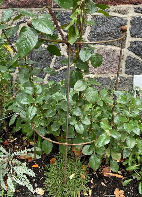 Small Half Moon Terrascape Landscaping Products