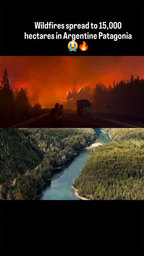 Argentina Wildfires January 2026 Israel