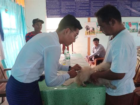 ကော့ကရိတ်မြို့၌ ကမ္ဘာ့ခွေးရူးရောဂါကာကွယ်တိုက်ဖျက်ရေးနေ့အထိမ်းအမှတ်ဟောပ