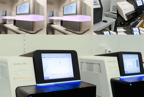 How Does Metagenomic Sequencing Differ From Whole Genome Sequencing