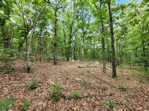 Bob Bowman Land For Sale Agent