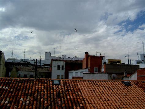 Spider Vision By 11811 On Deviantart