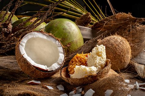 나무 배경과 말린 코코넛 잎에 달콤한 코카다 와 녹색 코코넛과 잘 익은 코코넛을 엽니 다 코코넛에 대한 스톡 사진 및 기타 이미지 Istock