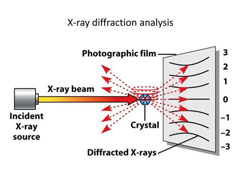 Ppt Purification Of Subcellular Fractions By Density Gradient