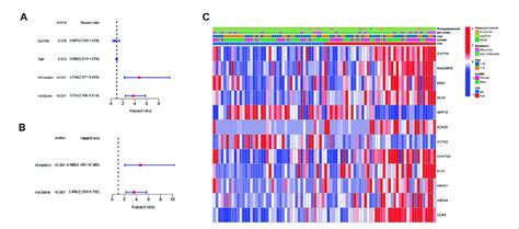 Independence Detection Of The Constructed Risk Prediction Model A Download Scientific