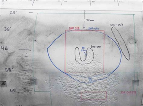 Flaw Assessment Ccpge
