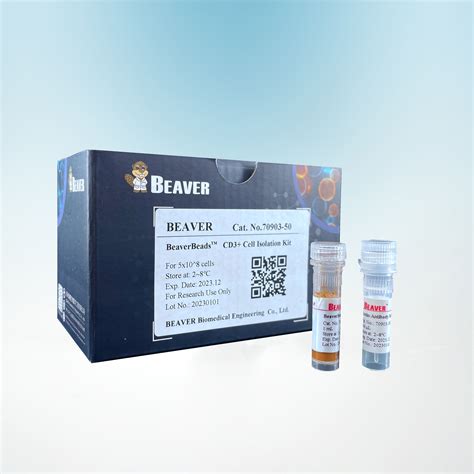 Beaverbeads Mouse Cd3 T Cell Isolation Kitnegative Selection The Bio X
