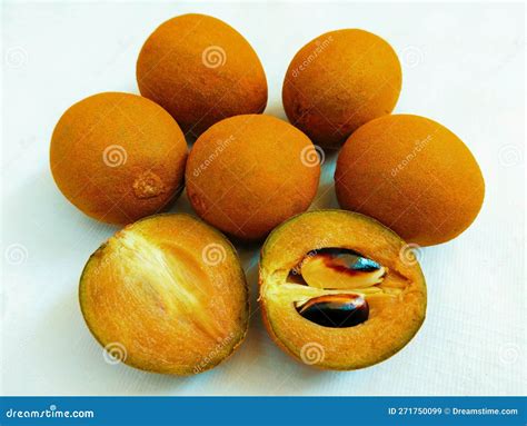Sapodilla Fruta Sapota Plantfruit Food Sapoche Manilkara Zapota
