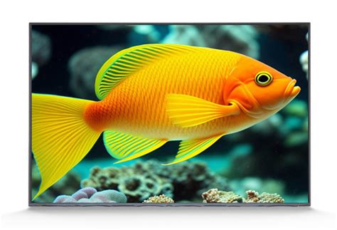 Wholesale Lcd Tv Panel 15 6 Inch Small Lcd Screen 1366x768 Lcd Display Lcd Screen And Small