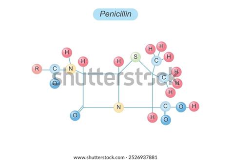 5 Alexander Ring Stock Vectors And Vector Art Shutterstock