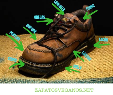 Un Zapato Está Formado Por Las Siguientes Partes