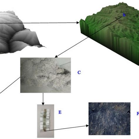 Research Sample Collection And Image Acquisition A Three Dimensional
