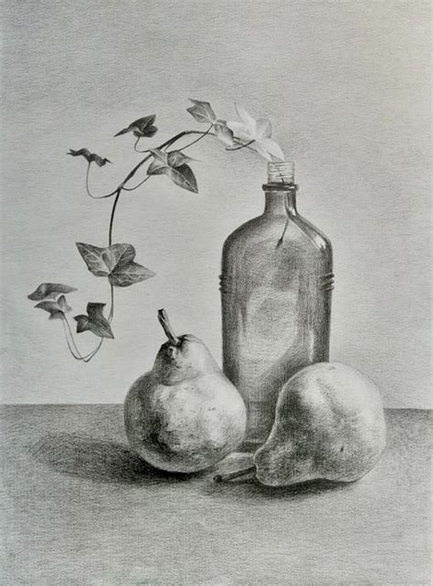 Dibujo De Naturaleza Muerta Con Peras Y Una Botella Art Inspiration For Beginners Black And