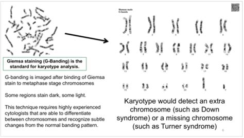 Biology Chapter 14 Test Flashcards Quizlet