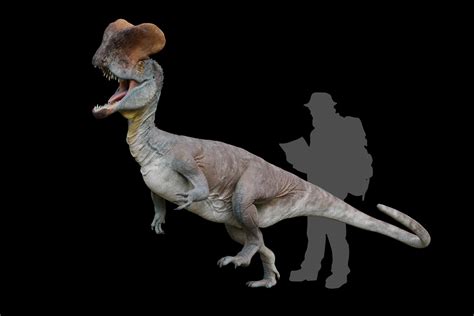 3d Model Dilophosaurus Turbosquid 2072373