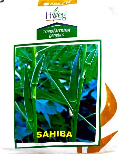 Dark Green A Grade Bhendi Rasi Sahiba 500gm At ₹ 1450pack In Sangli