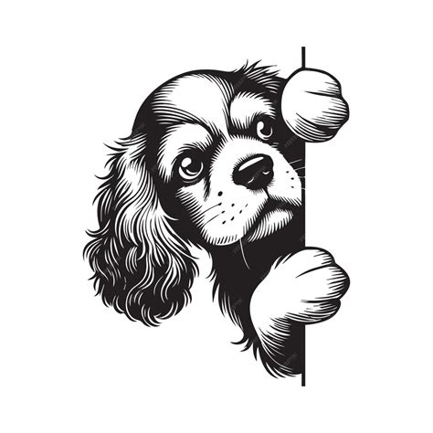 El Perro Cocker Spaniel Espiando La Cara Del Perro Ilustración Vectorial De Clipart En Blanco Y