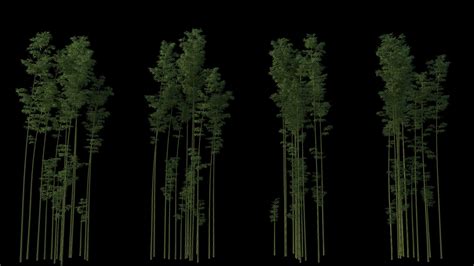 Artstation Bamboo Forest With Wind Animation Resources