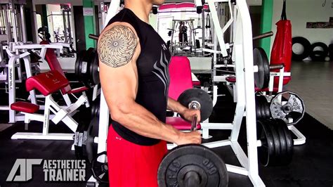 Reverse Grip Biceps Curl Youtube