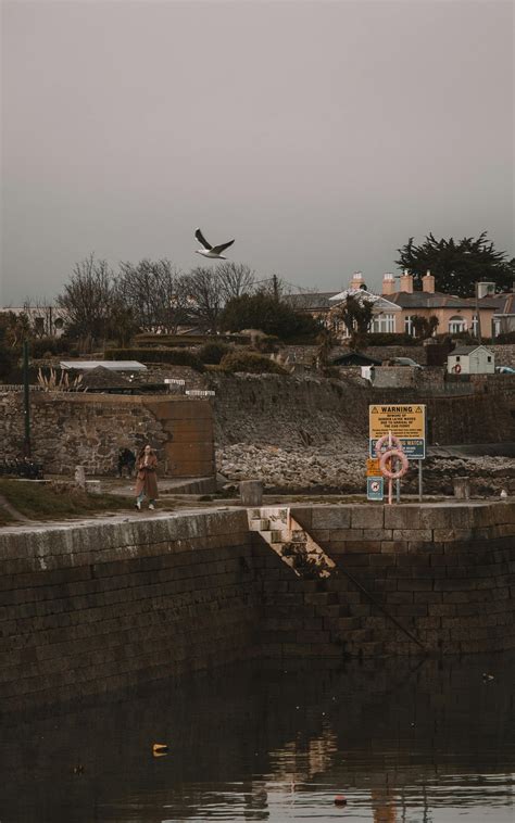 Steps In Root Canal Treatment Photos Download The Best Free Steps In Root Canal Treatment Stock