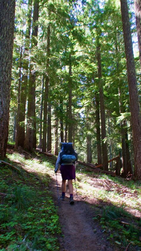 Pct 2019 Day 83 Trout Lake To Tentsite Near Mosquito Creek Hike