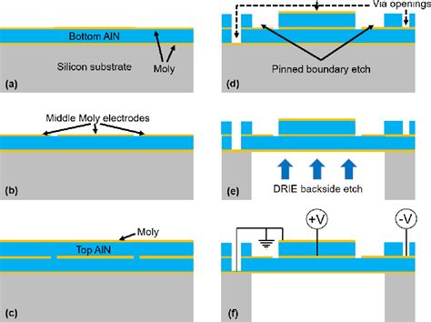 The Process Flow Of The Bimorph Pinned Dual Electrode Pmut A Download Scientific Diagram