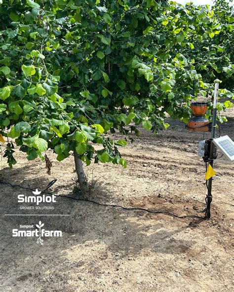 Simplot Grower Solutions On Linkedin Smartfarm Precisionagriculture