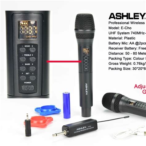 Mic Wireless Ashley E Cho Mic Ashley Echo Mic Pegang Pegang Lazada