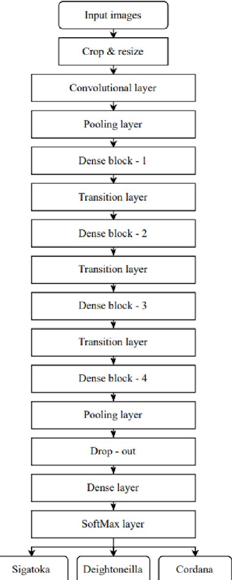 Figure 2 From Classification Of Leaf Spot Diseases In Banana Using Pre