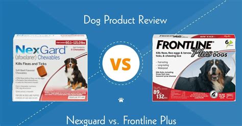 Comparison Nexgard Vs Frontline Plus For Flea And Tick Control