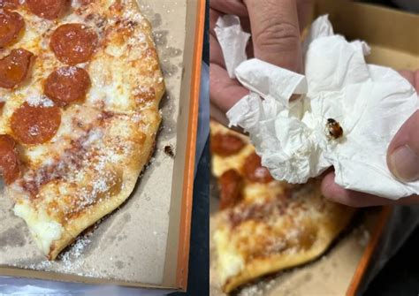 I Called Outlet 28 Times Woman Finds Cockroach In Pizza From Little