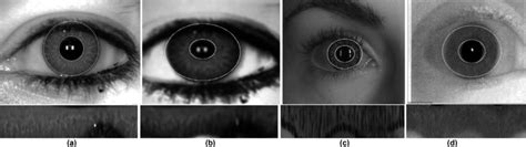 iris segmentation and normalization results of iris samples for a