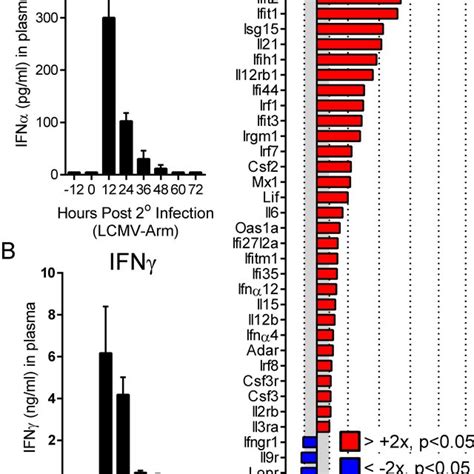Functional Type I And Ii Interferons Are Expressed In Response To Download Scientific Diagram
