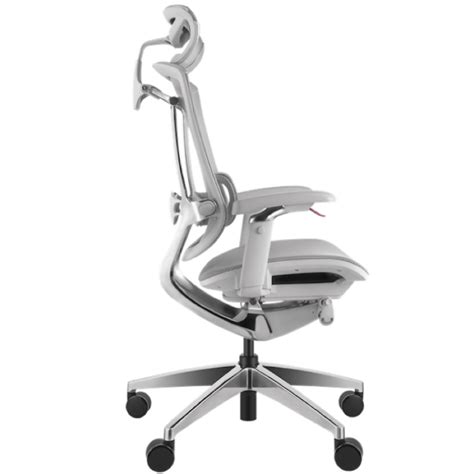 Rekt Rgo Max First Rekt