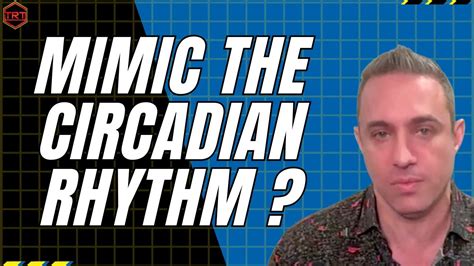 Should We Mimic The Circadian Rhythm Of Testosterone Youtube