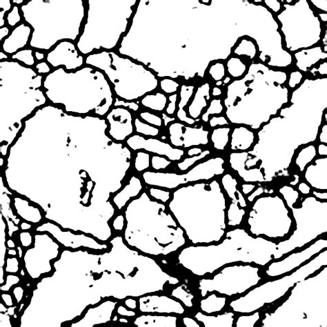 GitHub Nh K Pytorch Implementation Pytorch Implementation LeNet VGGNet GAN UNet Mask R