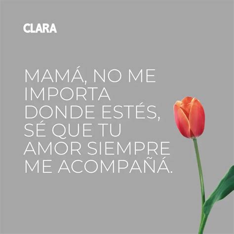 25 Frases Emotivas De Una Hija A Una Madre