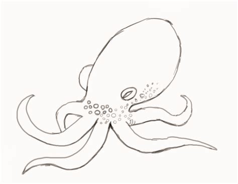 How To Draw An Octopus Step By Step Octopus Drawing Octopus Sketch