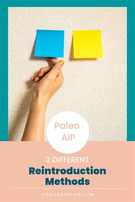 Two Different Paleo Aip Reintroduction Methods Aip Paleo Aip Diet Recipes