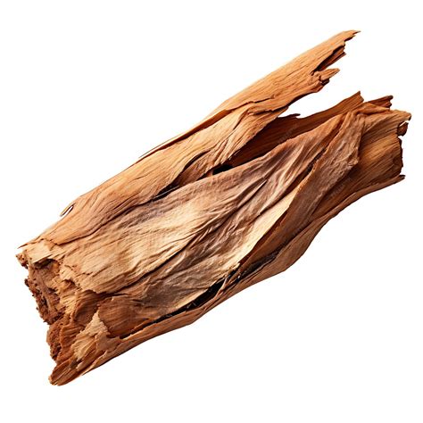 Premium Ai Image Isolated Of Ash Tree Bark Type Of Herb Fraxinus Spp Form Of Herb Dried On