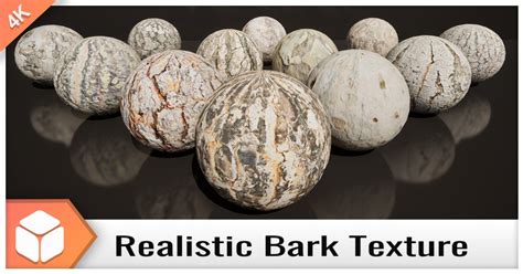 Bark Realistic 4k Pbr Collection Vol04 2d Wood Unity Asset Store