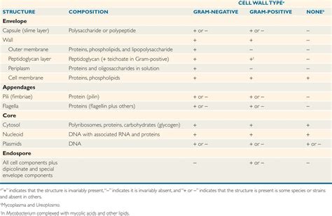 21 Bacteria—basic Concepts Basicmedical Key