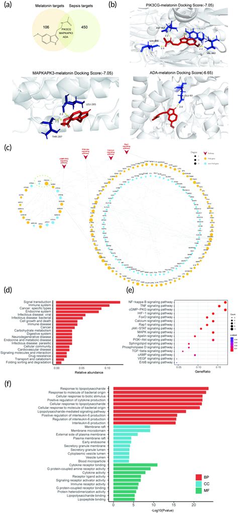 The Molecular Basis Of The Protective Effect Of Mel On Sepsis A Venn