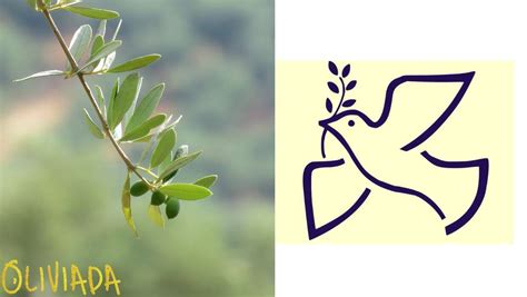 Olive Tree Bible Meaning